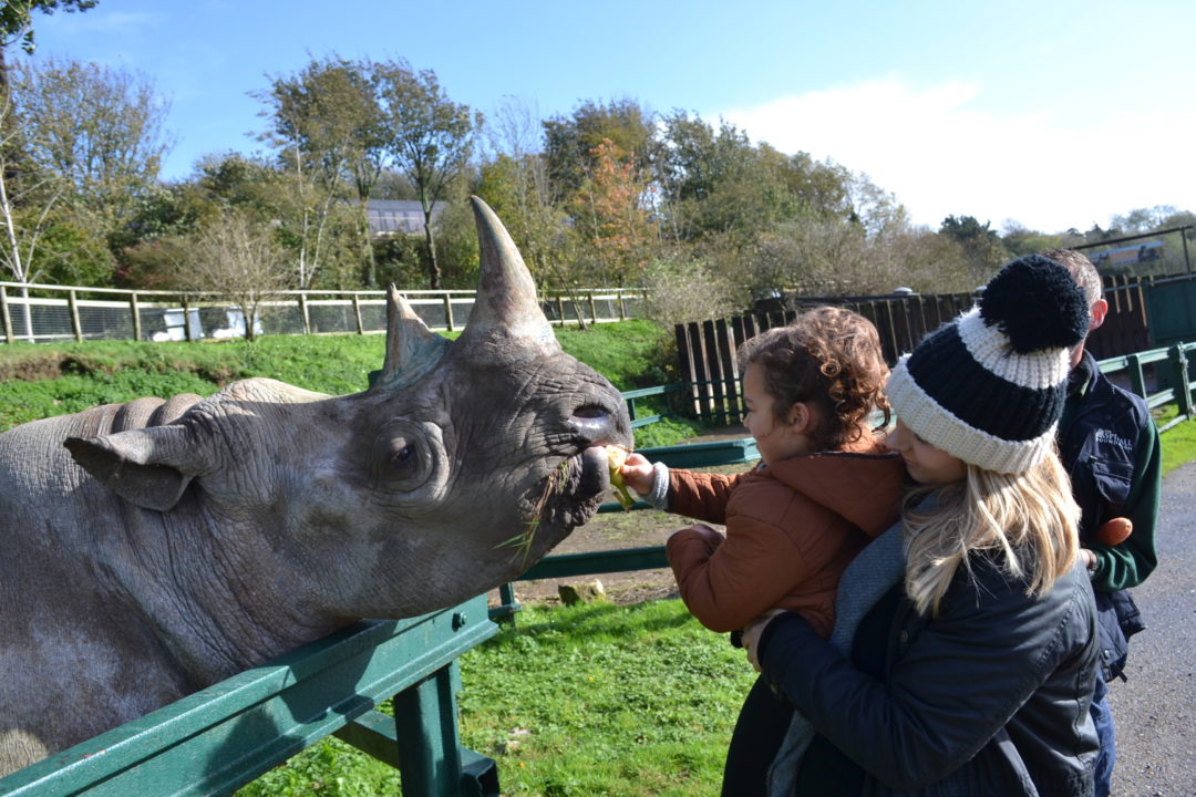 A Weekend Visiting Port Lympne Hotel & Zoo - Sophie's Suitcase