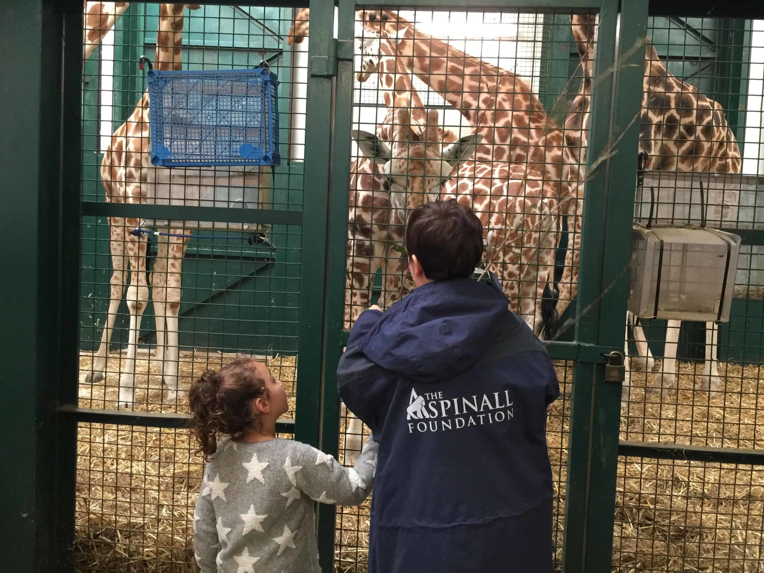 A Weekend Visiting Port Lympne Hotel & Zoo - Sophie's Suitcase