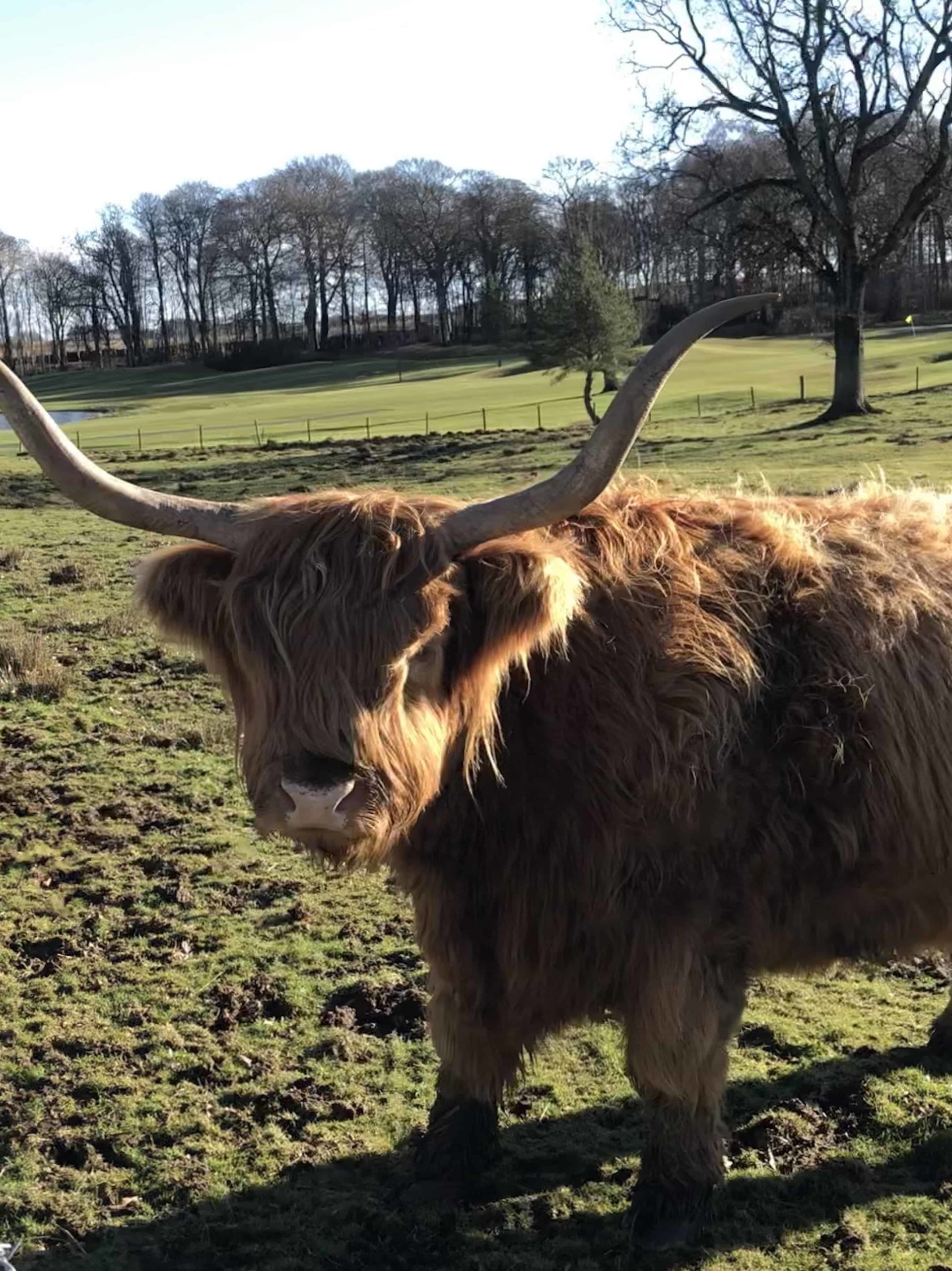 Ultimate Guide to a Weekend in Aberdeen - Sophie's Suitcase