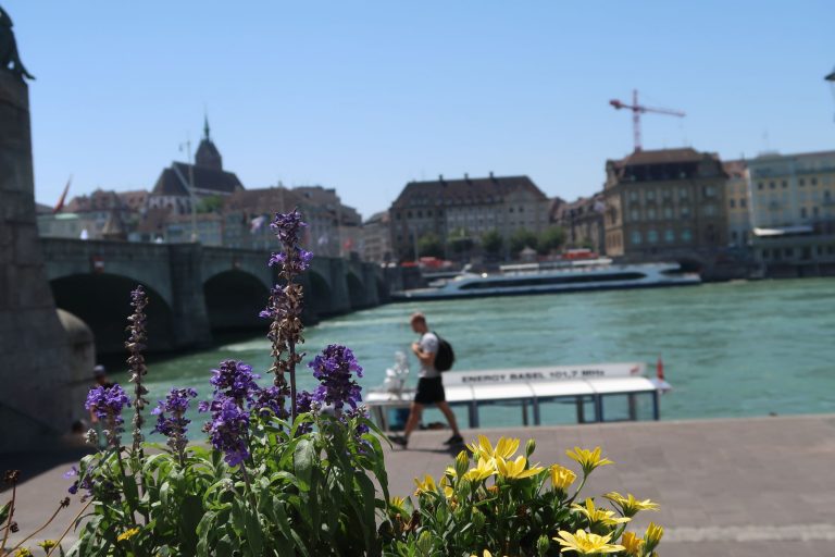 48 Hour Guide to Basel: 12 things to do in Basel - Sophie's Suitcase