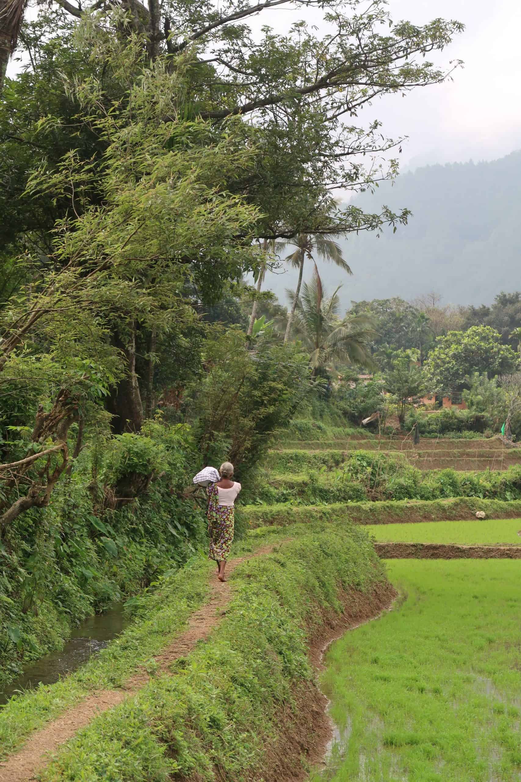 Hiking Mini World’s End, Riverston and The Knuckles in Sri Lanka ...