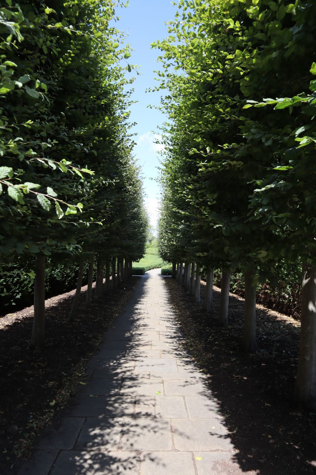 Gardens of London: 12 Things to see at Kew Gardens - Sophie's Suitcase