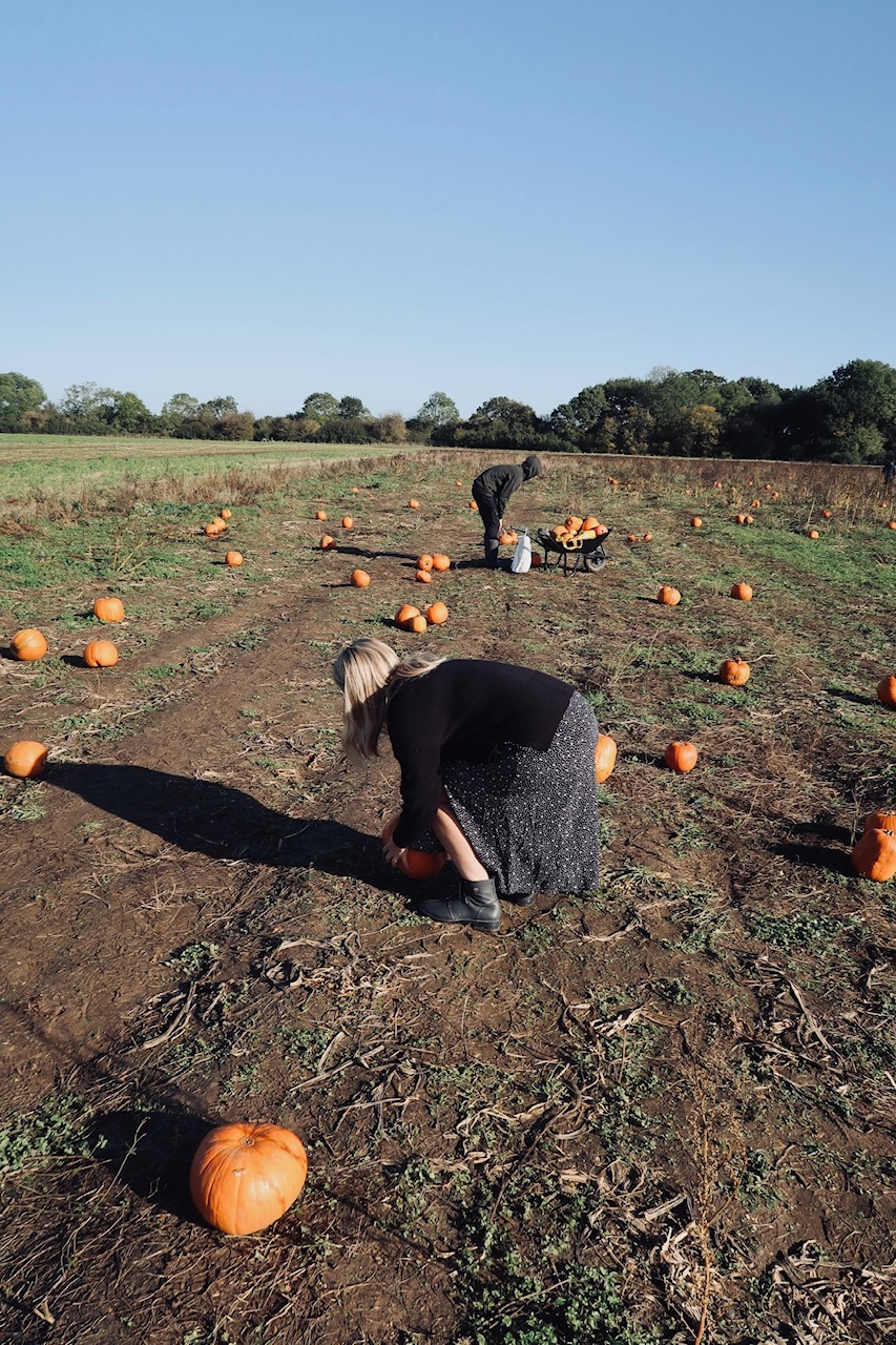 Pumpkin Picking at The Patch MK - Sophie's Suitcase