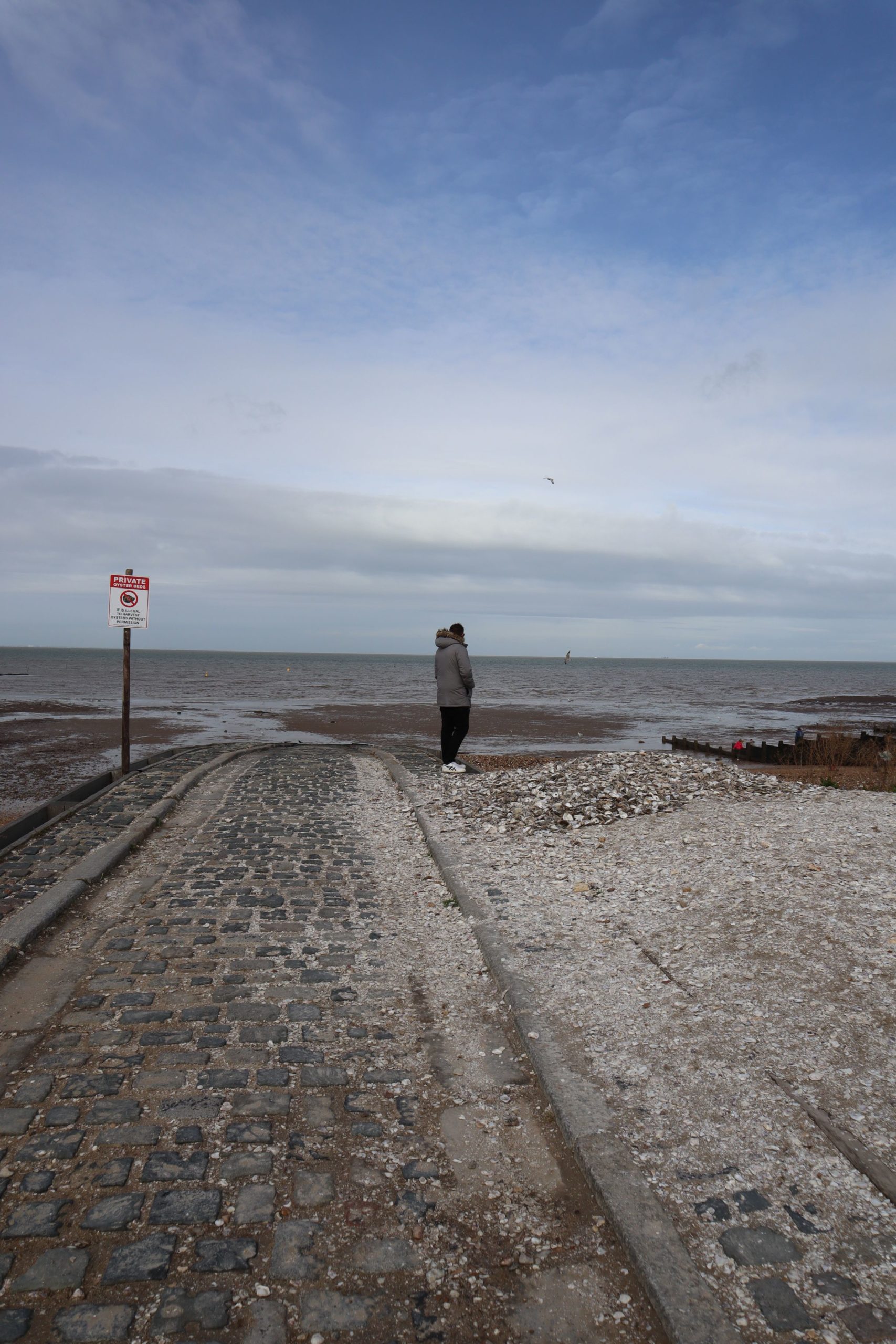 15 Things to do in Whitstable // UK Seaside Town - Sophie's Suitcase