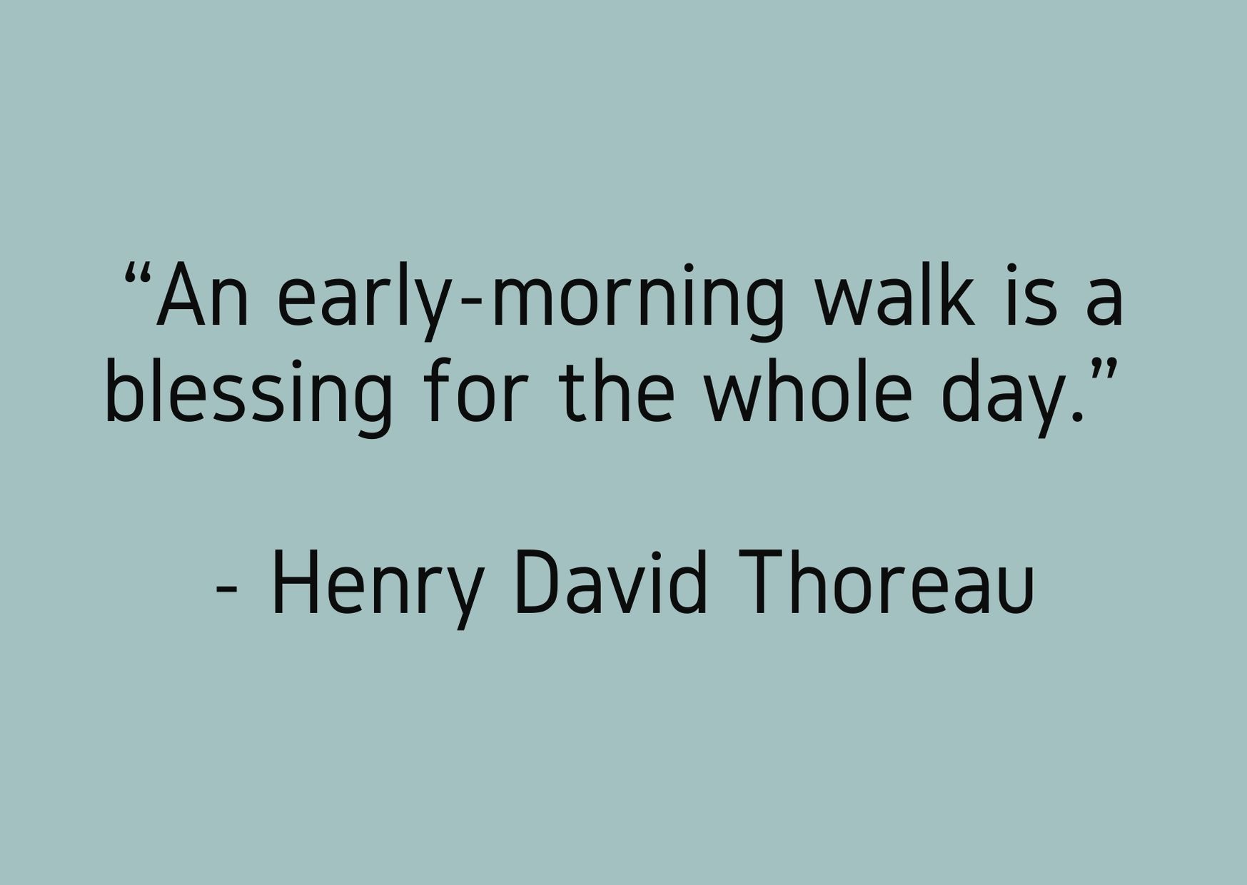 21+ Wilderness Quotes You Need to Read - Sophie's Suitcase