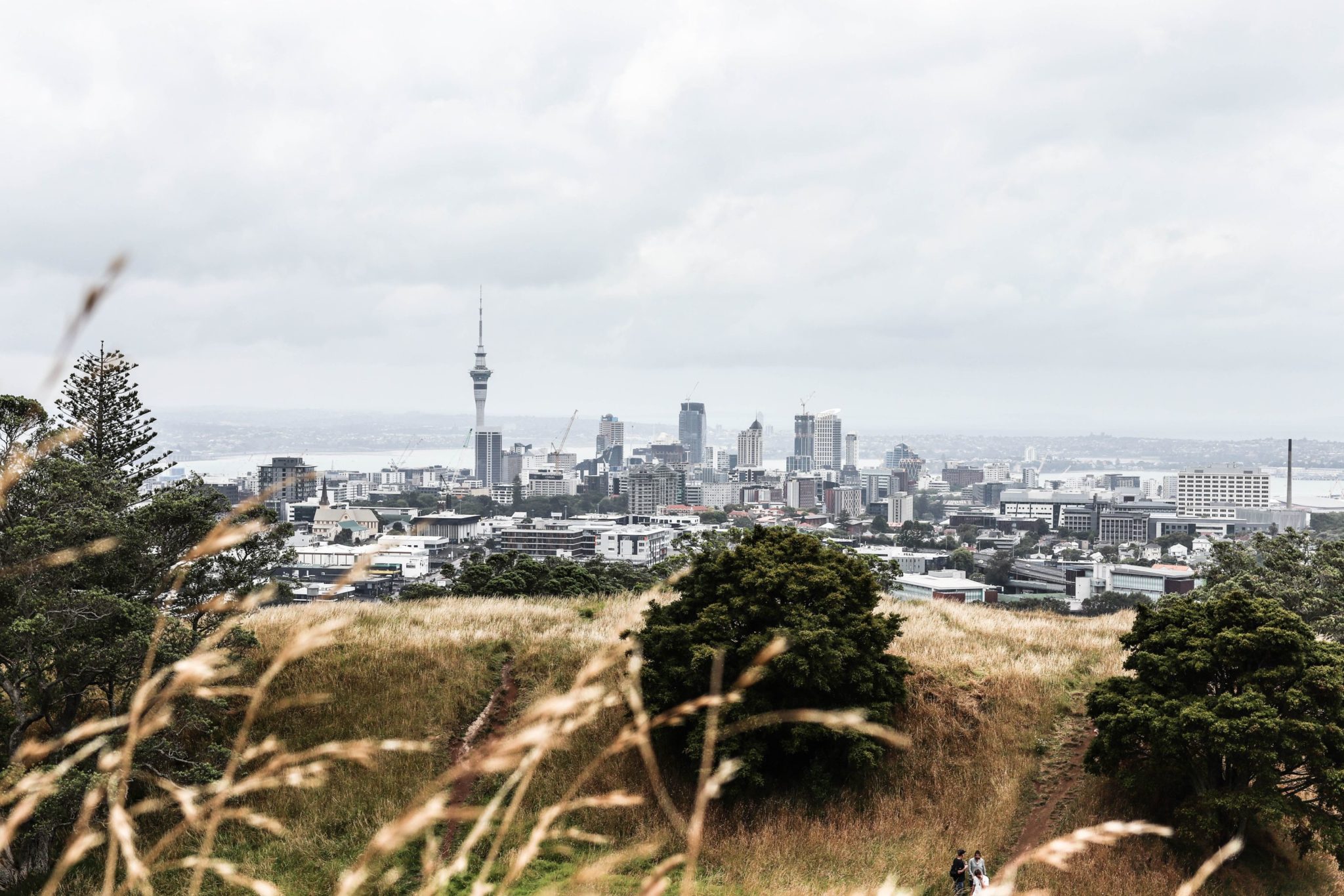 12 Places to Visit in Auckland - Sophie's Suitcase