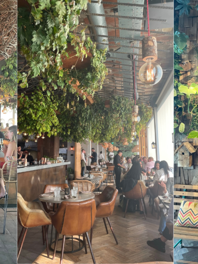 Dinner With Friends At Madera – Treehouse Hotel, London Story - Sophie ...