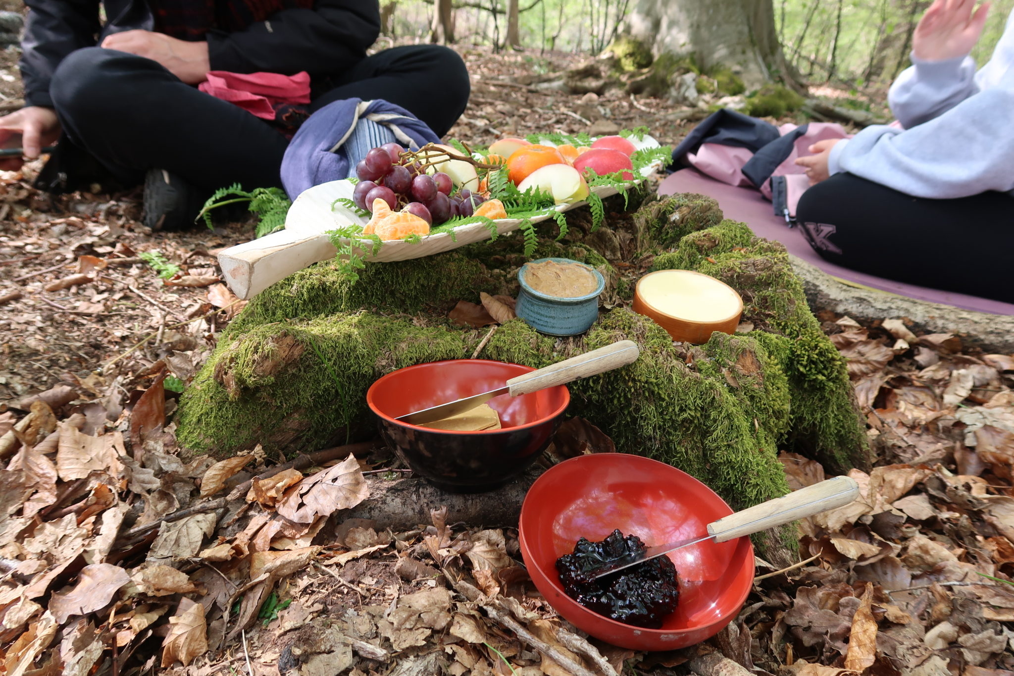 21 things to do in the Forest of Dean - Sophie's Suitcase