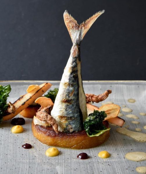 10 of the best restaurants in the New Forest [2023] - Sophie's Suitcase